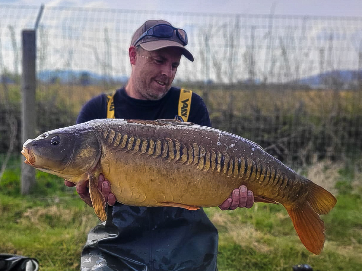 half a wrap | Total Carp